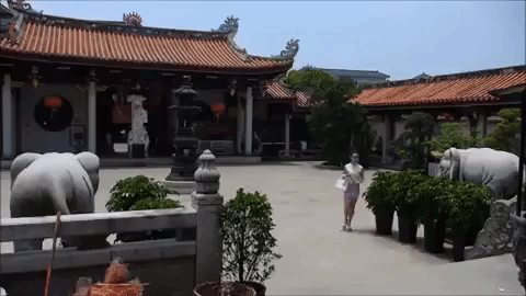 Sightseeing GIFs - Get the best GIF on GIPHY