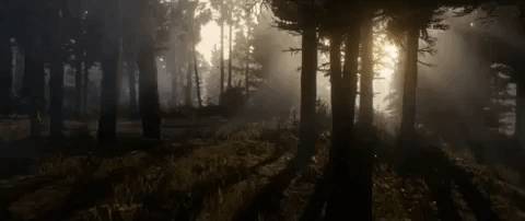 Red Dead Redemption Trailer GIF - Find & Share on GIPHY