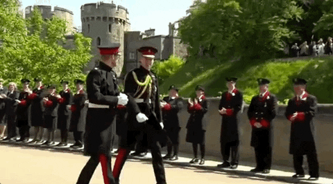 Prince Harry GIF by BBC - Find & Share on GIPHY