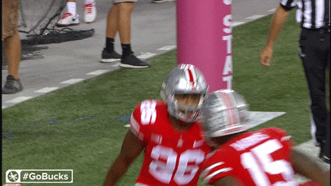 Ncaa Sports GIF by Ohio State Athletics - Find & Share on GIPHY