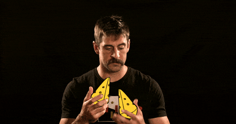 Cheesehead GIFs - Get the best GIF on GIPHY