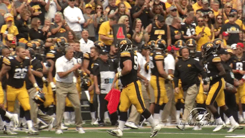 Iowa Hawkeyes Football GIF by University of Iowa Hawkeyes Athletics ...