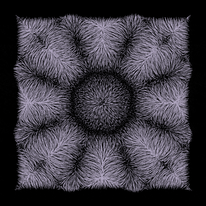 Black And White Loop GIF by roberthruska - Find & Share on GIPHY