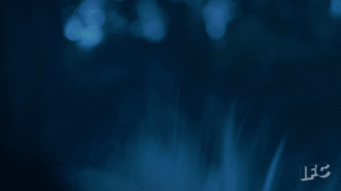 Tv Show Horror GIF by IFC - Find & Share on GIPHY