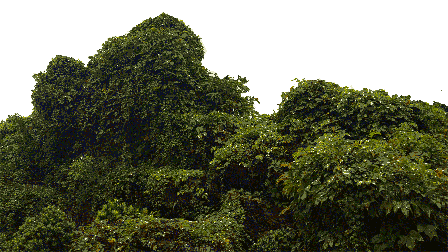 for iOS & Android | GIPHY