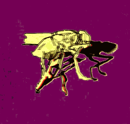 Lord Of The Flies GIFs - Get the best GIF on GIPHY