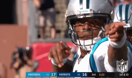 Carolina Panthers First Down GIF by NFL - Find & Share on GIPHY