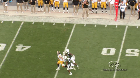 - Find & Share on GIPHY