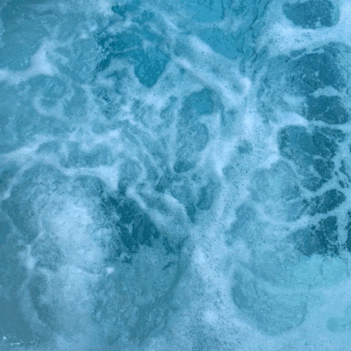 Face Expression GIF by GIPHY CAM - Find & Share on GIPHY