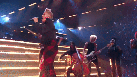 P!Nk Pink GIF by RCA Records UK - Find & Share on GIPHY