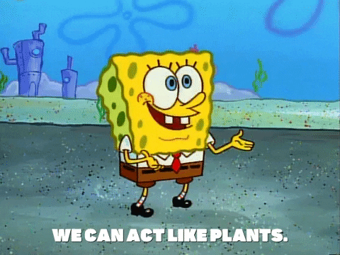Season 1 Sb 129 GIF by SpongeBob SquarePants - Find & Share on GIPHY