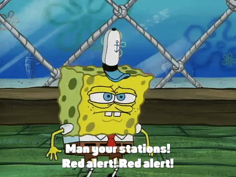 Season 3 The Algae'S Always Greener GIF by SpongeBob SquarePants - Find ...