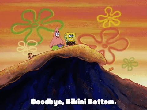 Season 2 Prehibernation Week GIF by SpongeBob SquarePants - Find ...