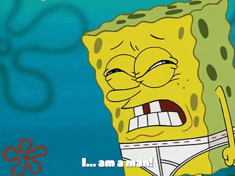 Season 2 Prehibernation Week GIF by SpongeBob SquarePants - Find ...