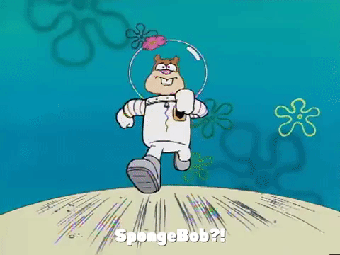 Season 2 Prehibernation Week GIF by SpongeBob SquarePants - Find ...