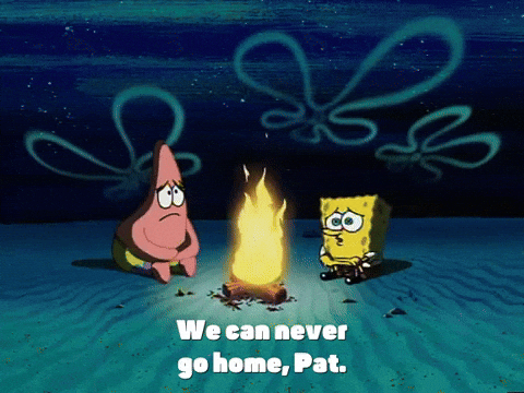Season 2 Prehibernation Week GIF by SpongeBob SquarePants - Find ...