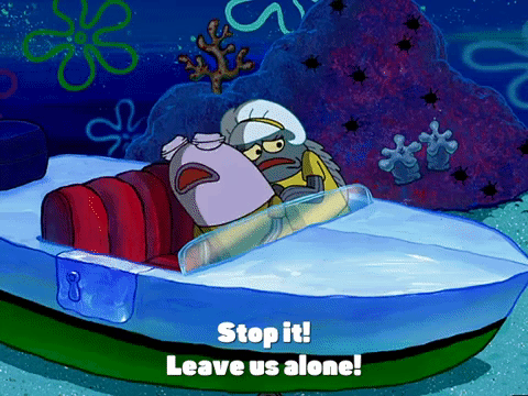 Season 2 Chocolate With Nuts GIF by SpongeBob SquarePants - Find ...