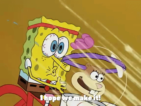 Season 2 Prehibernation Week GIF by SpongeBob SquarePants - Find ...