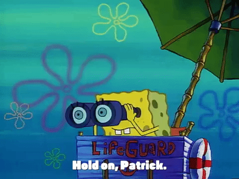 Season 3 The Algae'S Always Greener GIF by SpongeBob SquarePants - Find ...