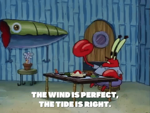 Season 1 GIF by SpongeBob SquarePants - Find & Share on GIPHY