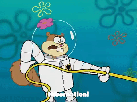 Season 2 Prehibernation Week GIF by SpongeBob SquarePants - Find ...