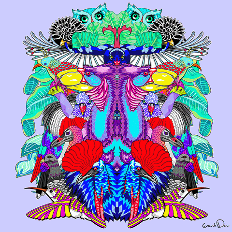 Birds Psychedelic Art GIF by Grande Dame - Find & Share on GIPHY