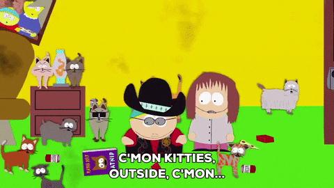 Eric Cartman Kitty GIF by South Park - Find & Share on GIPHY