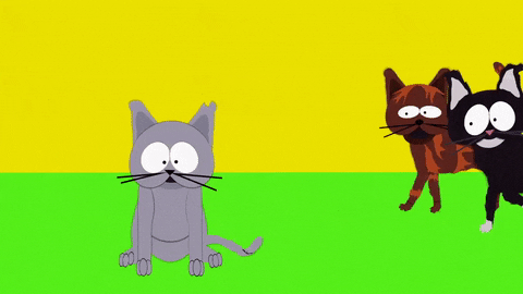 Cat Meowing GIF by South Park - Find & Share on GIPHY