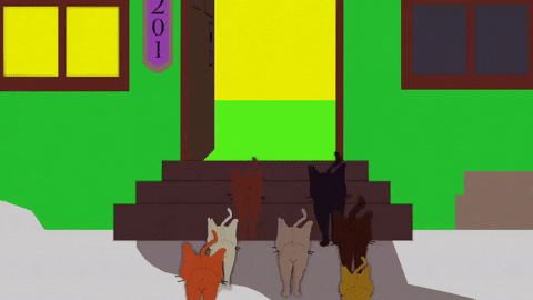 Cat Invading GIF by South Park - Find & Share on GIPHY