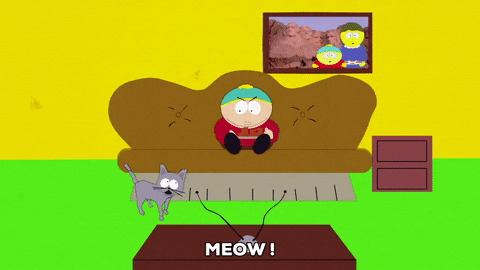 Eric Cartman Cat GIF by South Park - Find & Share on GIPHY