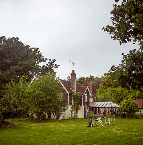 Forest Deer Cottage GIF by Nino Paulito - Find & Share on GIPHY