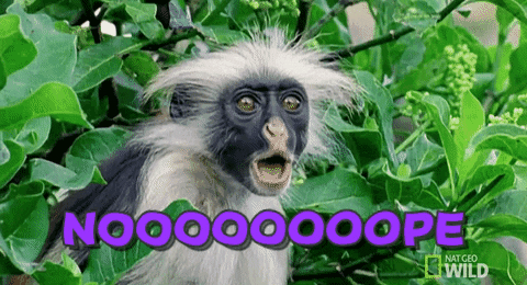 No Way Monkey GIF by Ari Spool, Community Curator - Find & Share on GIPHY
