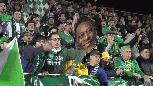 Soccer Fans GIF by New York Cosmos - Find & Share on GIPHY