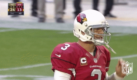 Arizona Cardinals Football GIF by NFL - Find & Share on GIPHY