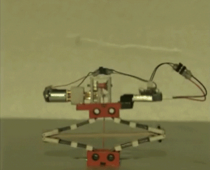 Uc Berkeley Jump GIF by University of California - Find & Share on GIPHY