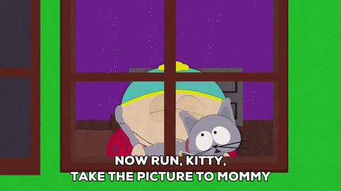 Eric Cartman Kitty GIF by South Park - Find & Share on GIPHY