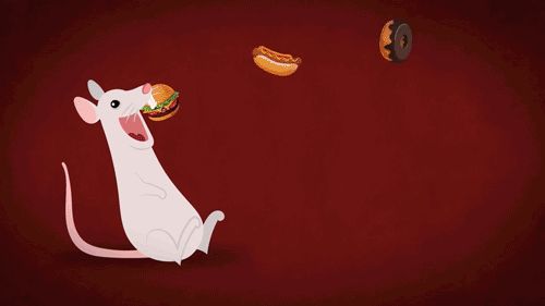 Biology Genetics GIF by PBS Digital Studios - Find & Share on GIPHY