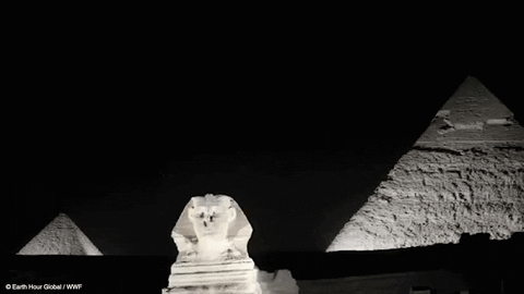 Giza GIFs - Find & Share on GIPHY