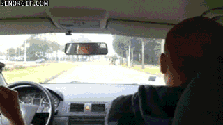 Fail Drive By GIF - Find & Share on GIPHY
