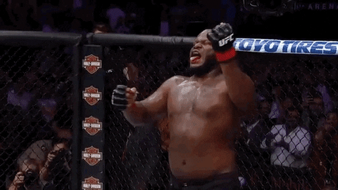 Ufc 229 Sport GIF by UFC - Find & Share on GIPHY