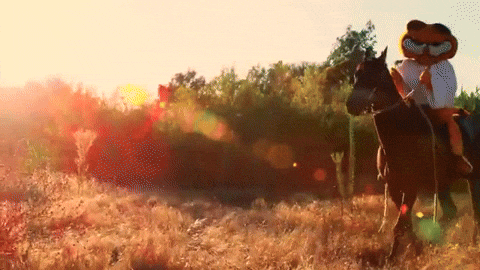 Garfield Horse Riding GIF by Jason Clarke - Find & Share on GIPHY