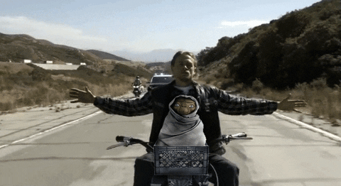@Geekydestro Animated GIF | JAX Final RIDE, SOA | Know Your Meme