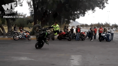Motorcycle Fails GIF by World’s Funniest - Find & Share on GIPHY