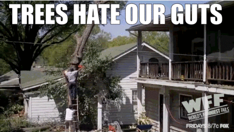 Tree Fails GIF by World’s Funniest - Find & Share on GIPHY