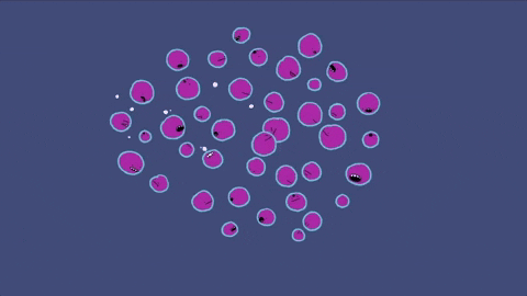 Pink Wiggle GIF by Massive Science - Find & Share on GIPHY