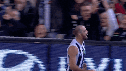 Football Celebrate GIF by CollingwoodFC - Find & Share on GIPHY
