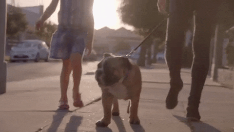 Youtube Walk GIF by SoulPancake - Find & Share on GIPHY