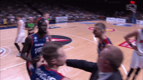 Illawarra Hawks GIF by NBL - Find & Share on GIPHY