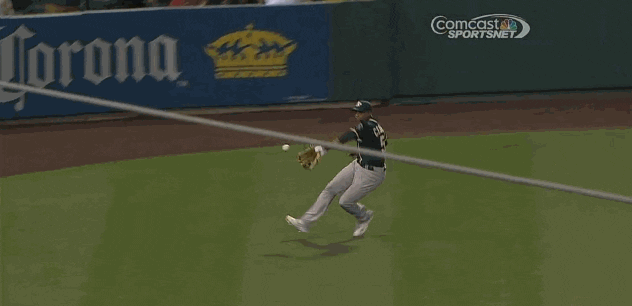 Softball Catch Outfield Fly Ball Somersault GIFs - Find & Share on GIPHY