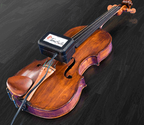 Violin GIFs - Find & Share on GIPHY